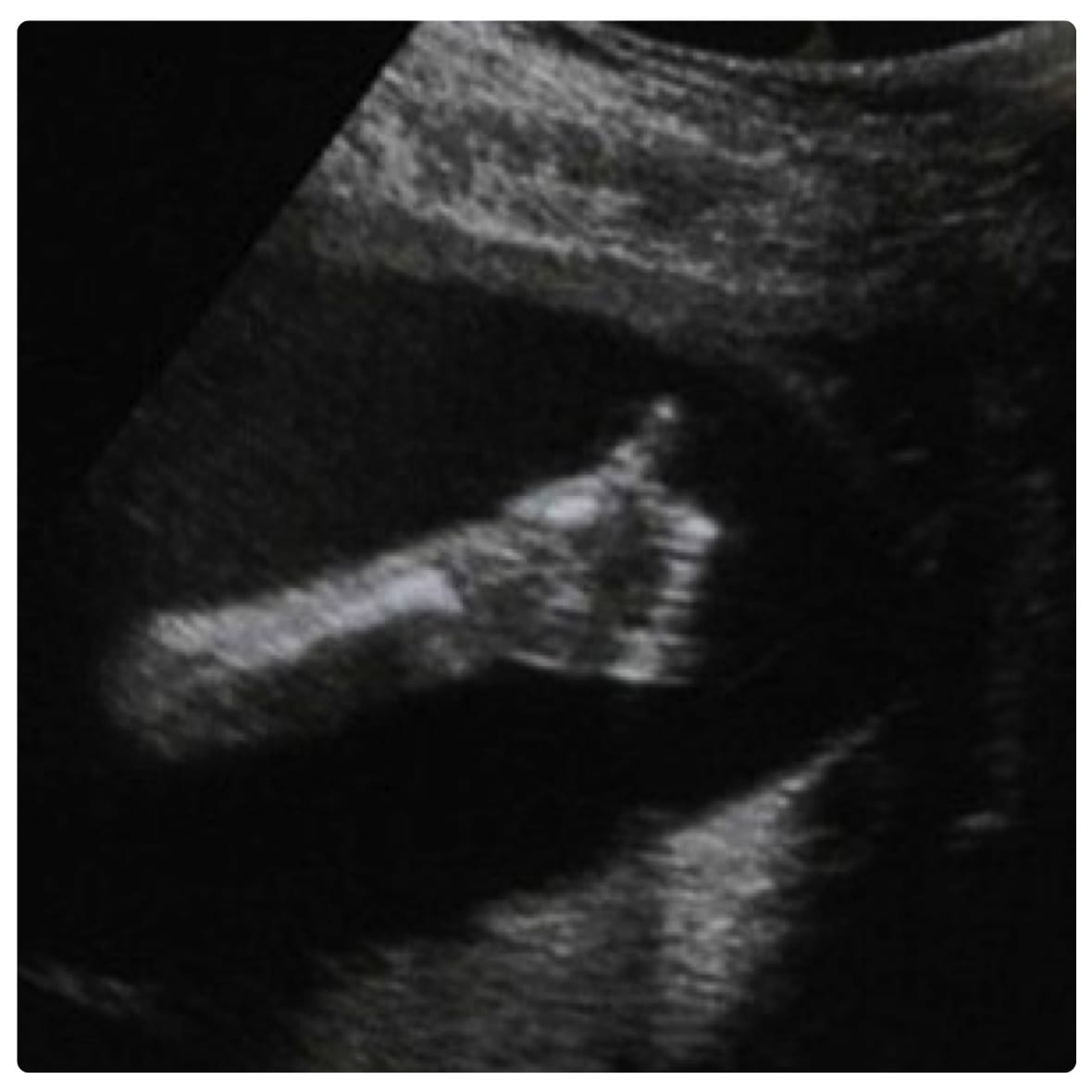 adbri-masonry-miniwall-veggie-patch8 - Making HOME